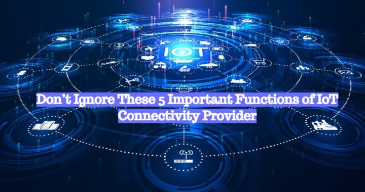 Internet of Things Connectivity Provider Companies in 2021 | IoT Platform